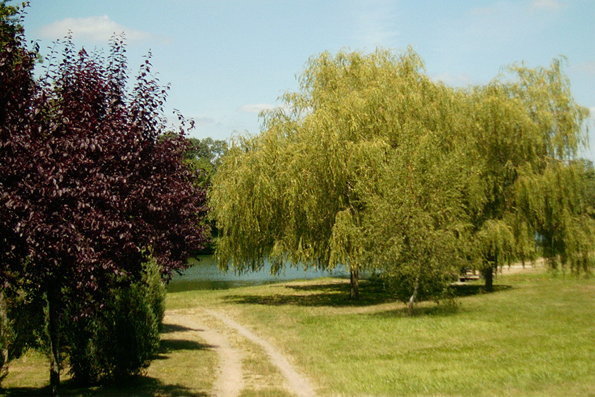 Cadre de vie > Bazouges-Cré sur Loir